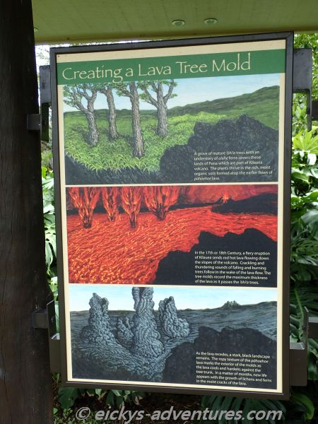 2015 Hawaii: Lava Tree State Park - eickys-adventures.com