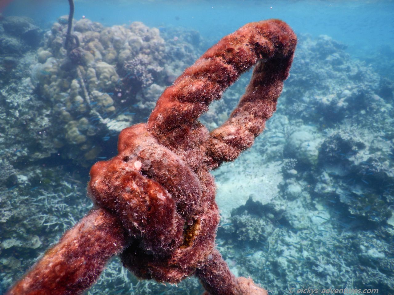 2017 Malediven: Picknickinsel Anbaraa - eickys-adventures.com