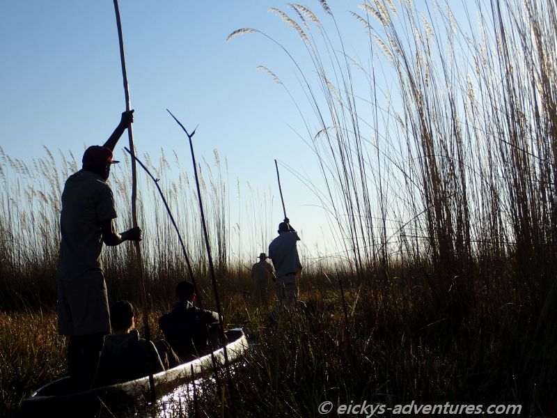 2016 Botswana: Game Walk im Okavango Delta - eickys-adventures.com