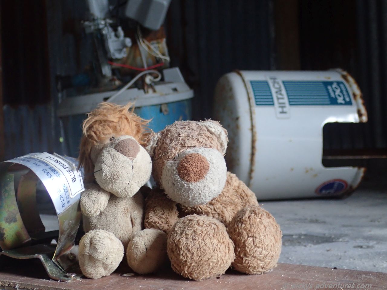 2017 Malediven: Picknickinsel Anbaraa - eickys-adventures.com