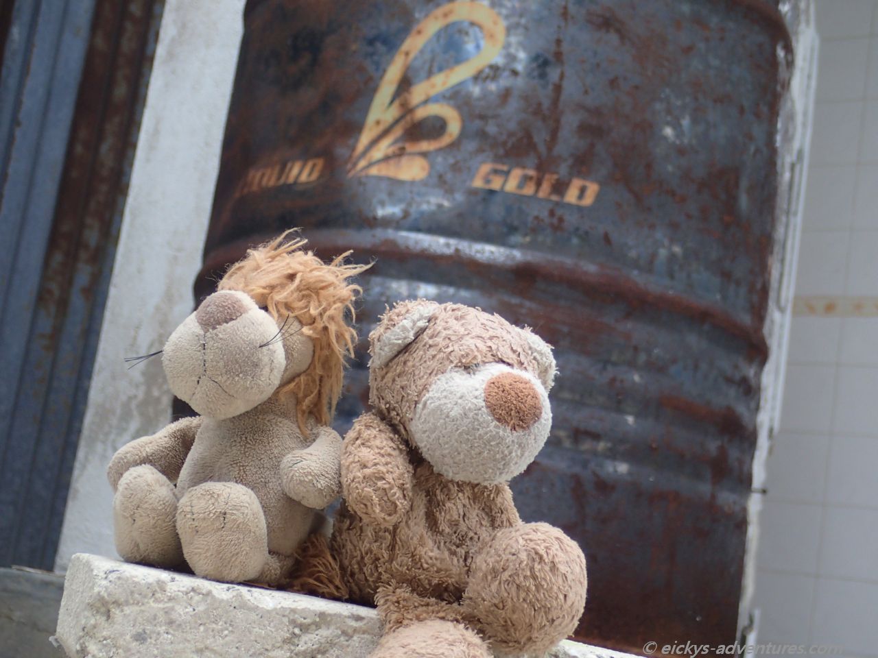 2017 Malediven: Picknickinsel Anbaraa - eickys-adventures.com