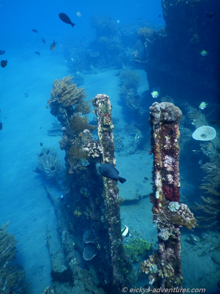 2018 Bali: Japanese Shipwreck - eickys-adventures.com