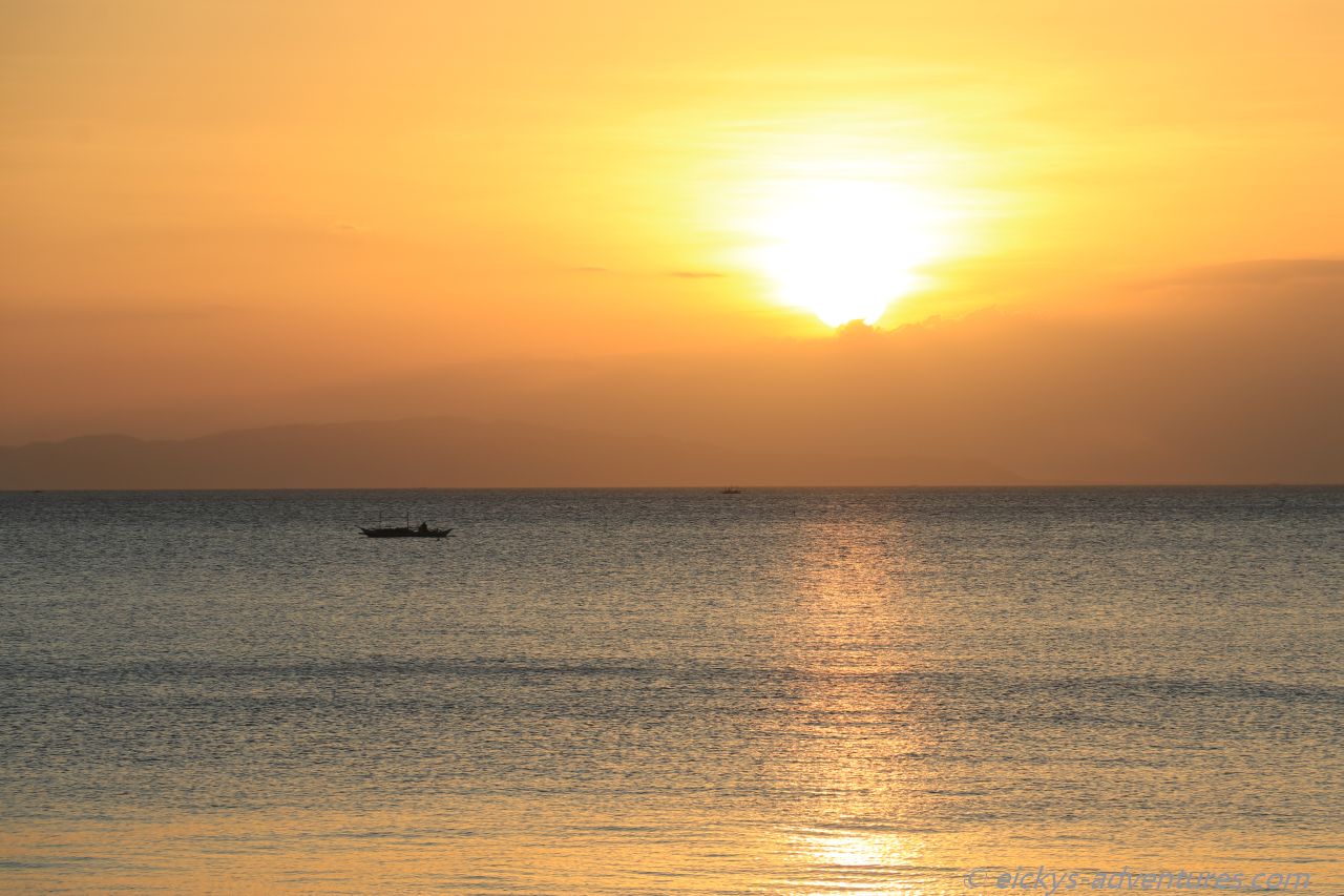 2020 Philippinen: Firefly Tour in Donsol - eickys-adventures.com