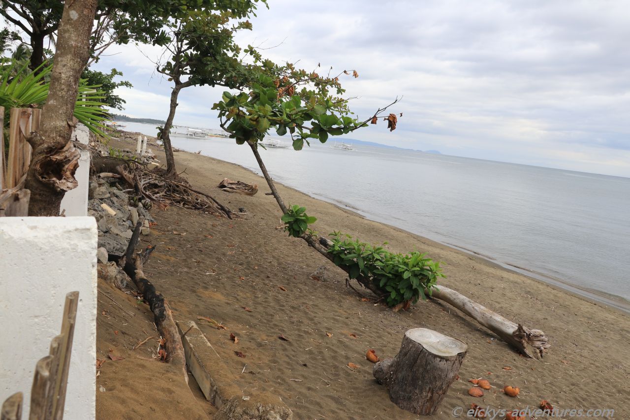 2020 Philippinen: Firefly Tour in Donsol - eickys-adventures.com