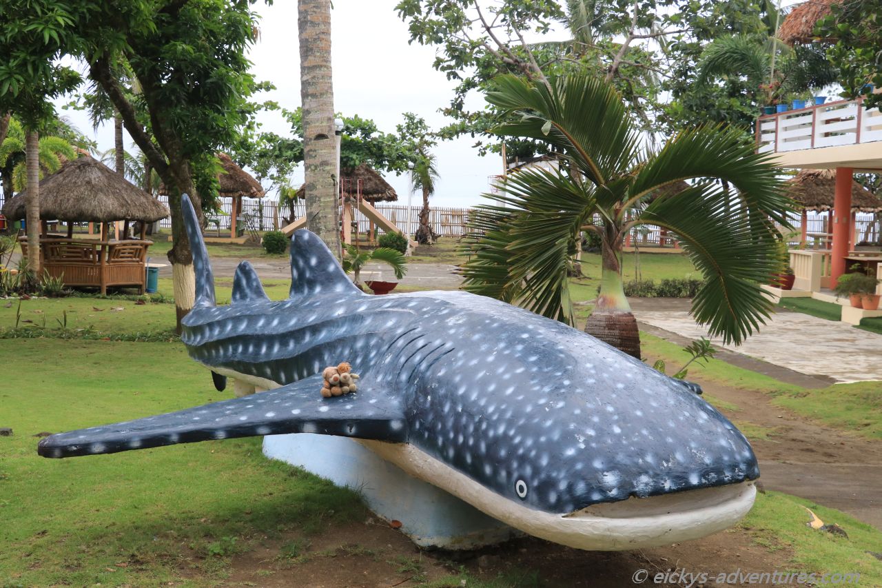2020 Philippinen: Firefly Tour in Donsol - eickys-adventures.com